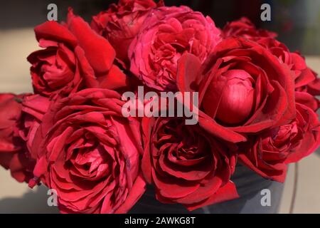 Origami red roses Stock Photo - Alamy