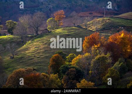 Traditional farm houses. North Spain Stock Photo - Alamy