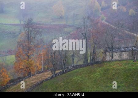 Cantabrian valleys. Traditional farms. North Spain Stock Photo - Alamy