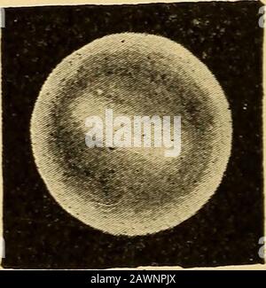 Skiascopy and its practical application to the study of refraction ...