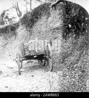Fort George Island shell mound Stock Photo - Alamy