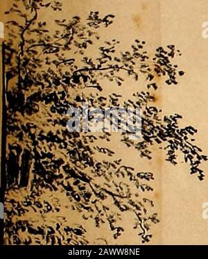 Peck, Pieter Stock Photo - Alamy