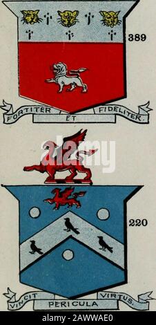 Irish pedigrees; or, The origin and stem of the Irish nation . 479 486 ...