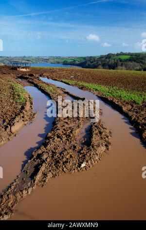 A muddy field. Waterlogged farm land southern England. Dorset. UK ...