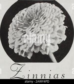 Annual California Spring Garden Show, Oakland Auditorium, Oakland ...