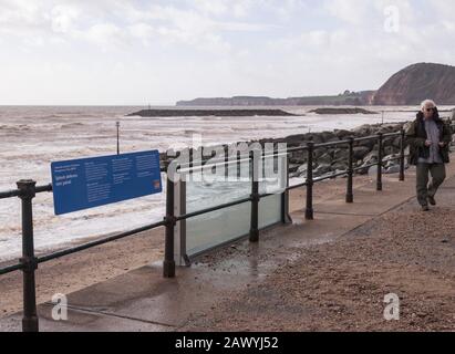 Glass sea defence panels installed on test on the sea wall at Sidmouth ...