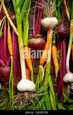 Fresh juicy carrots on wooden background Stock Photo - Alamy