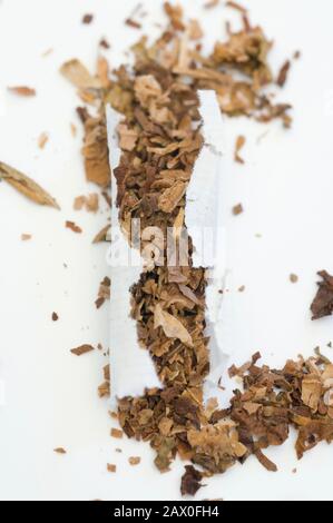 Broken cigarette close up quitting smoking. Breaking bad habits Stock ...