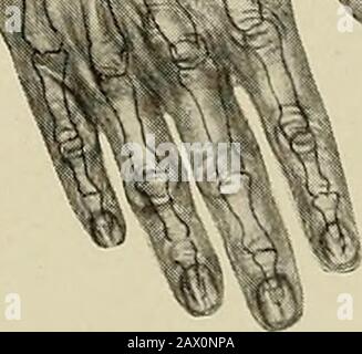 The BNA arranged as an outline of regional and systematic anatomy ...