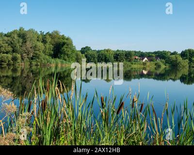 Rothsee, Franken, Bayern, Deutschland Stock Photo - Alamy
