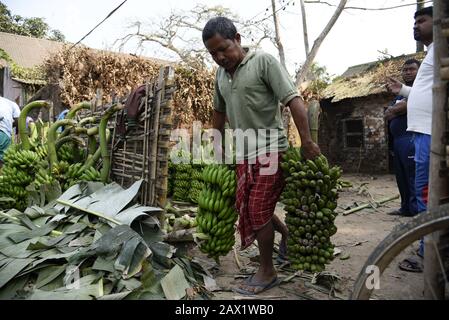 Goalpara, Assam, India. 10th Feb, 2020. Fruit vendor selling banana at ...