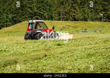 A Swiss farmer cutting grass for hay with a small mechanical mower in a ...