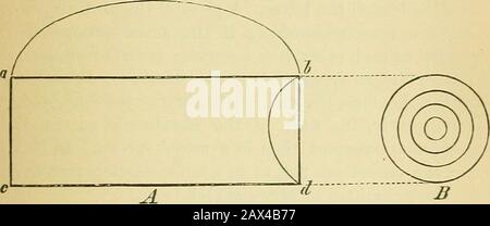 Cross-sections of nerves Stock Photo - Alamy