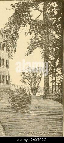 The Dows or Dowse family in America: a genealogy of the descendants of ...