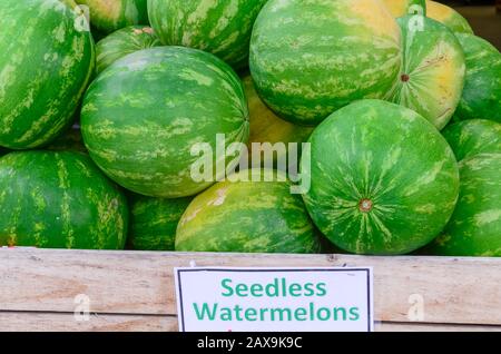 Seedless watermelons in wooden crate with price tag label at farmer ...