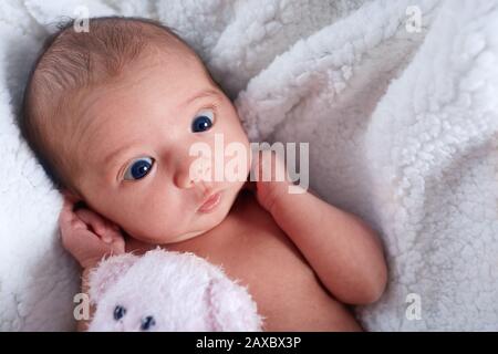 Close-up of cute newborn baby boy lying on bed Stock Photo - Alamy