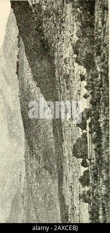 Erosion along fault in tilted sandstone (Miocene Astoria Formation ...