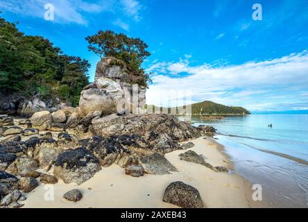 Overgrown rock on the beach of Stillwell Bay, Abel Tasman National Park, Tasman, South Island ...