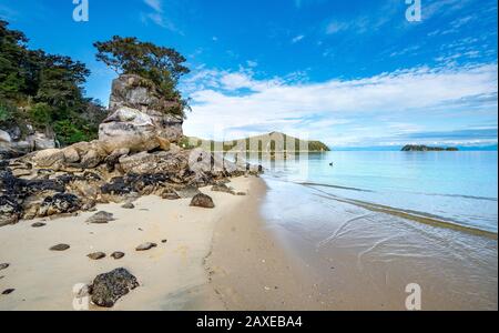 Overgrown rock on the beach of Stillwell Bay, Abel Tasman National Park, Tasman, South Island ...