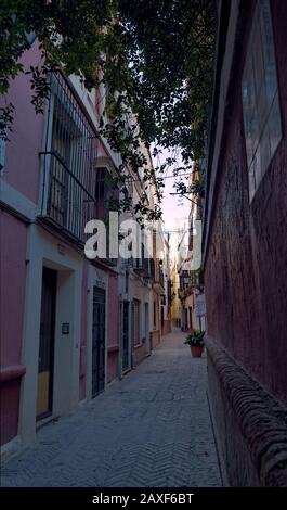 Passageway between a brick wall and the facade of a palace with a ...