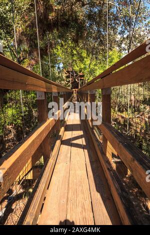 Tower, bridge, and Bird watching walkway boardwalk in Myakka State Park ...