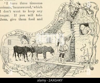 THE DONKEY CABBAGE Stock Photo - Alamy