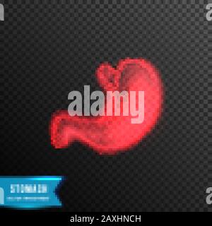 stomach, human anatomy from connecting dot and line. light effect ...