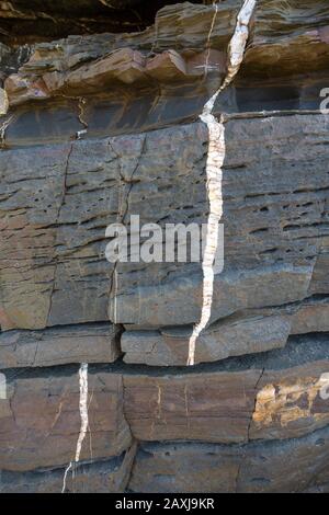 White vein quartzite dyke crossing layers of metamorphosed sedimentary ...