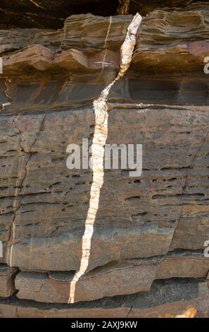 White vein quartzite dyke crossing layers of metamorphosed sedimentary ...