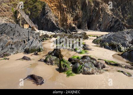 Steps down to Traeth Llyfn beach near Abereiddy, Pembrokeshire, Wales ...