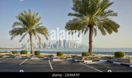 Date Palm Trees - views Stock Photo - Alamy