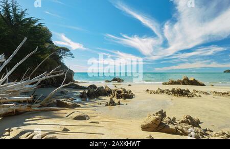 Wainui Inlet, Tasman, South Island, New Zealand, Oceania Stock Photo ...