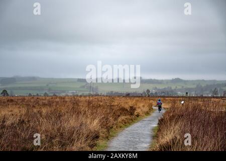 Flanders Moss National Nature Reserve - man standing at the top of the ...