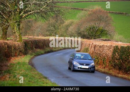 Recently cut hedgerows in Devon, UK Stock Photo - Alamy