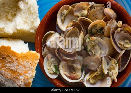 Rayed Trough shells, Spisula solida, that were gathered by a forager by ...