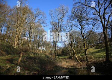 Waseley hills country park, Rubery, Birmingham, England, UK Stock Photo ...