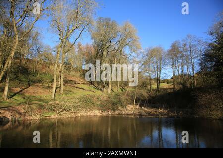 Waseley hills country park, Rubery, Birmingham, England, UK Stock Photo ...