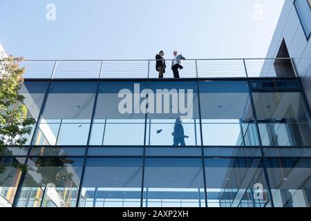 Going gray. Woman with dark hairs shows her gray hair roots Stock Photo ...