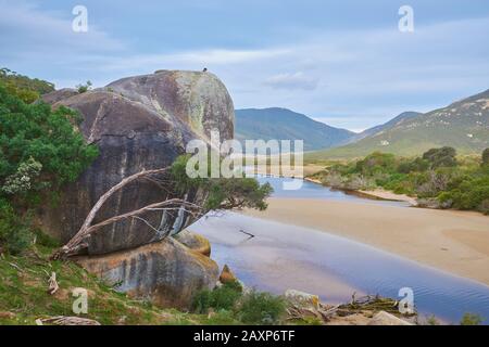Landscape, Tidal River, Wilsons Promontory National Park, Victoria ...