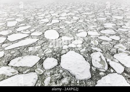 winter, frozen, ice floe, winters, frozens, ice floes Stock Photo - Alamy