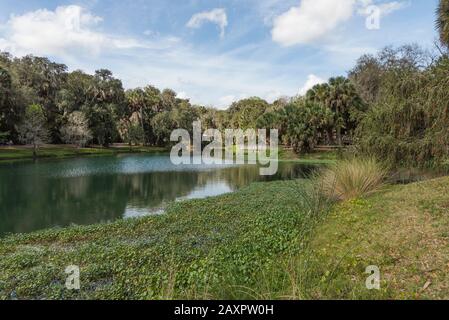 Gemini Springs Park, DeBary Florida USA Stock Photo - Alamy