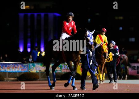 Chiba, Japan. 12th Feb, 2020. Mickaelle Michel Horse Racing : Funabashi ...