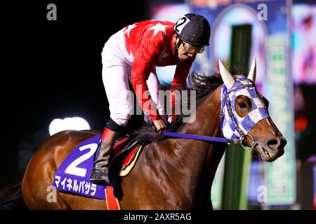 Chiba, Japan. 12th Feb, 2020. Mickaelle Michel Horse Racing : Funabashi ...