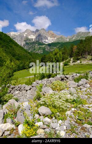 Kukaj, Valbona Valley National Park, Accursed Mountains, Albania ...