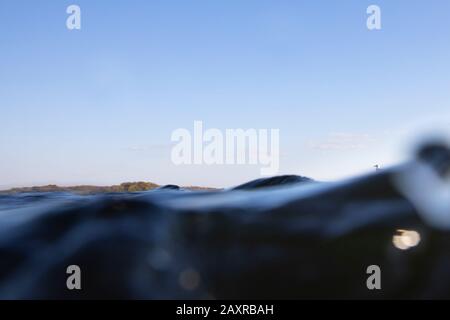 A low angle shot of a Seagull on a street light Stock Photo - Alamy