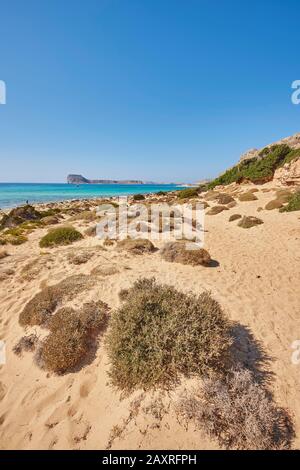 Landscape from Gramvousa island, Crete, Greece.Colorful bushes agave ...