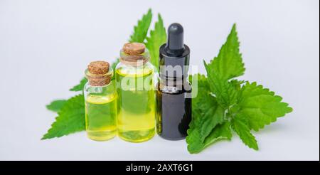 nettle extract in a small jar. Selective focus Stock Photo - Alamy