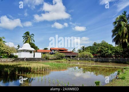 Malaysia, Langkawi, Laman Padi, rice plantation, museum Stock Photo - Alamy