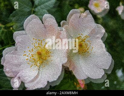 Nature blurred multicolored floral abstract background with grass ...