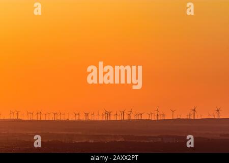 Wien, Vienna: wind turbines in Marchfeld, city of Vienna in 00 ...
